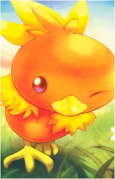 Torchic | Mudae Wiki | Fandom