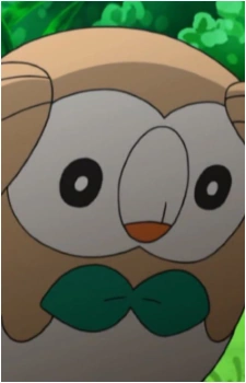 Ash's Rowlet | Mudae Wiki | Fandom