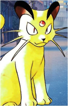Meowth (Species) | Mudae Wiki | Fandom