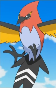Ash's Talonflame | Mudae Wiki | Fandom