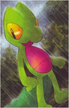 Treecko | Mudae Wiki | Fandom