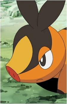 Ash's Pignite | Mudae Wiki | Fandom