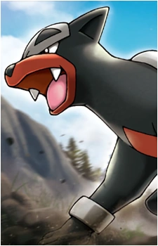 Houndour | Mudae Wiki | Fandom