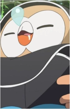 Ash's Rowlet | Mudae Wiki | Fandom