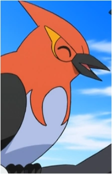 Ash's Talonflame | Mudae Wiki | Fandom