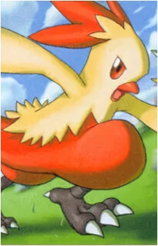 Torchic | Mudae Wiki | Fandom