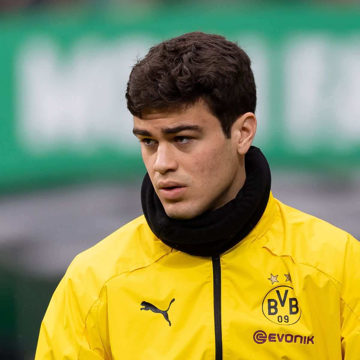 Giovanni Reyna | MUFC Football Wiki | Fandom