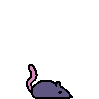 Rats | Muffins' basics in baking Wiki | Fandom