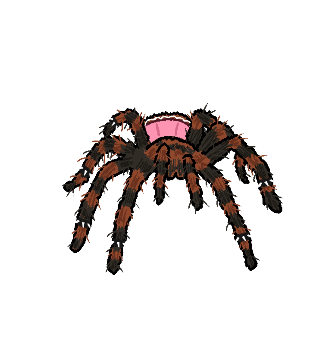 UMAH | Muffiqute verse Wiki | Fandom