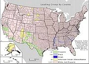 United States | Mugabepedia Wiki | Fandom