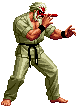 Mr. Karate | MUGEN Database | Fandom