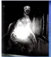 SCP-3199 (Unknown Version) | Mugenlostmediaarchive Wiki | Fandom