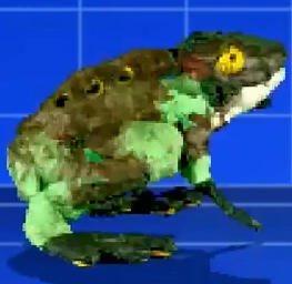 Frog & Mouse (MrDynamicpulse) | Mugenlostmediaarchive Wiki | Fandom