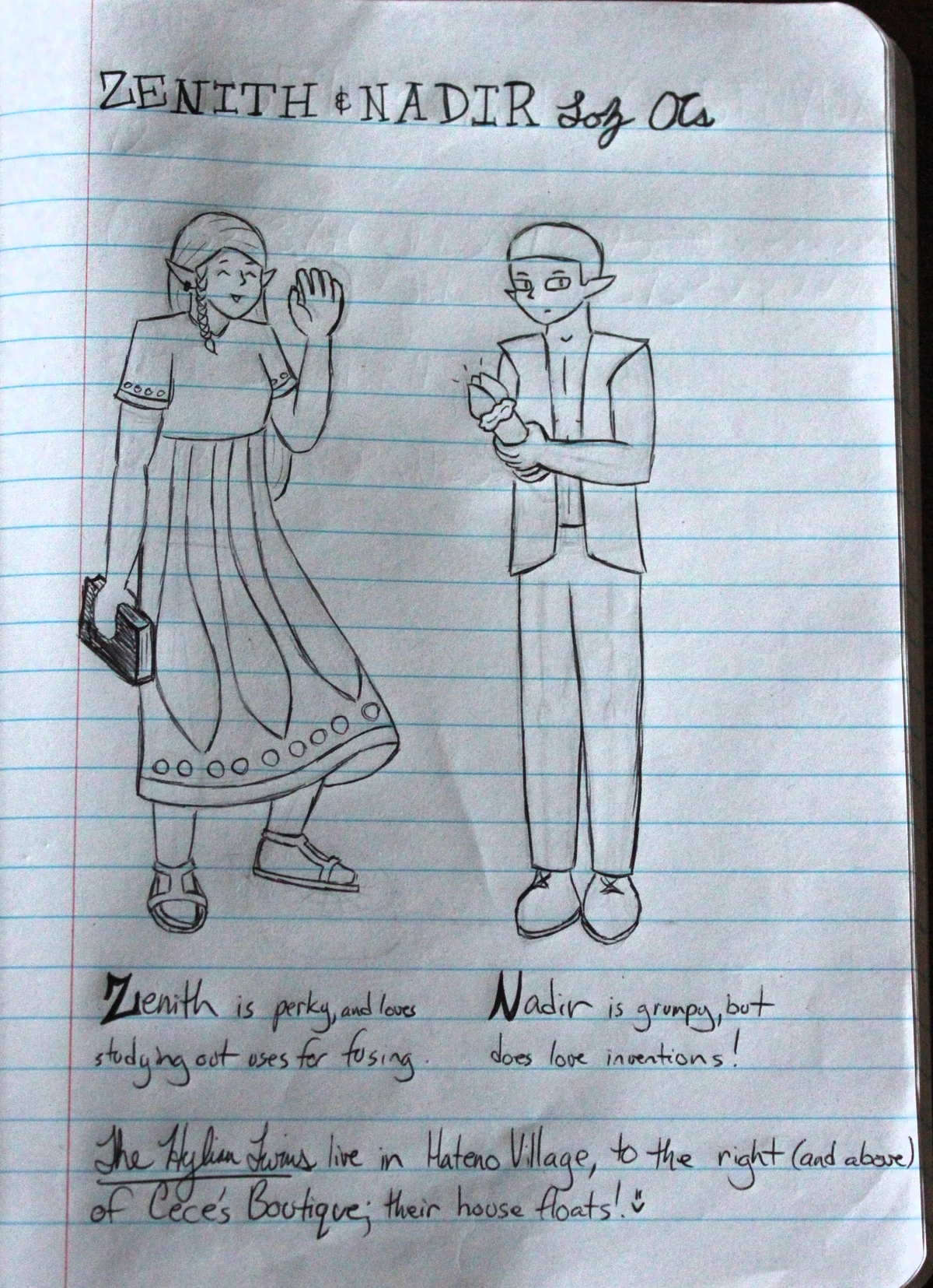 Hylian Twins | Multiversal meeting place Wiki | Fandom