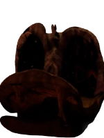 Anniversary Disembodied | Multiverse Custom Night Wiki | Fandom