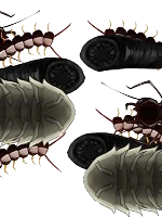 Parasites (Pressure) | Multiverse Custom Night Wiki | Fandom