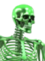 Green Skeleton | Multiverse Custom Night Wiki | Fandom