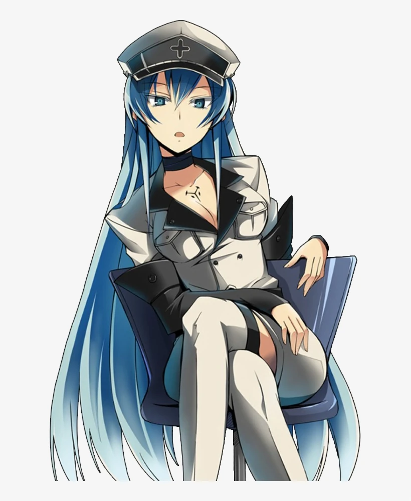 Esdeath | Multiverse Tournament Fanfiction Wiki | Fandom