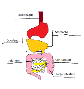 Vorian | Multiverses Wiki | Fandom