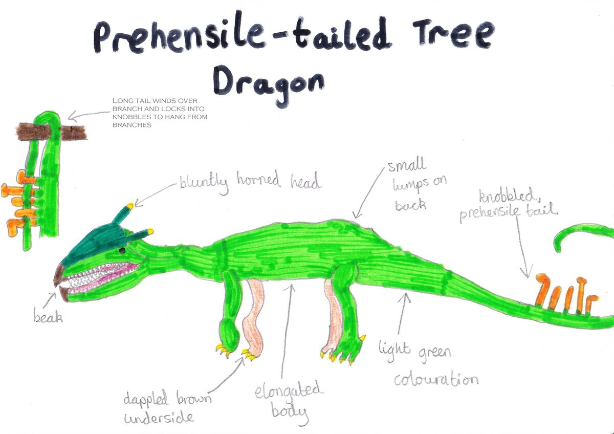 Prehensile Tailed Tree Dragon Multiverses Wiki Fandom