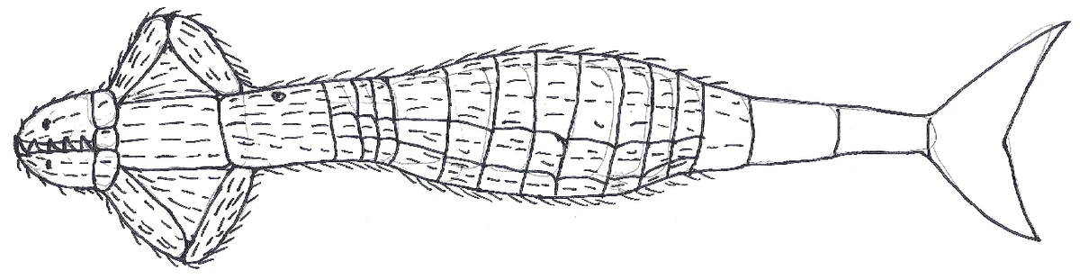 Robeka | Multiverses Wiki | Fandom