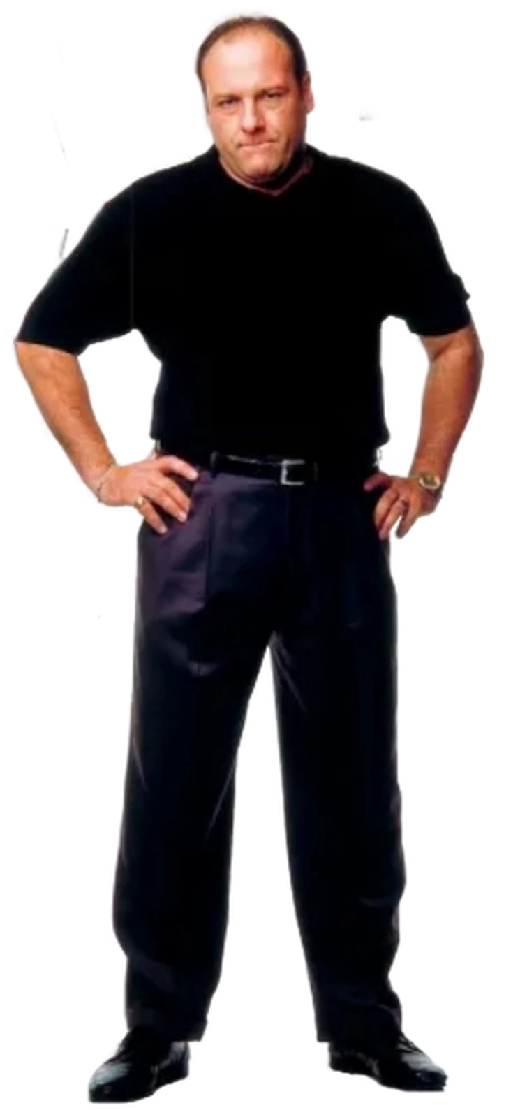 Tony Soprano | MultiVersus Reborn Wiki | Fandom