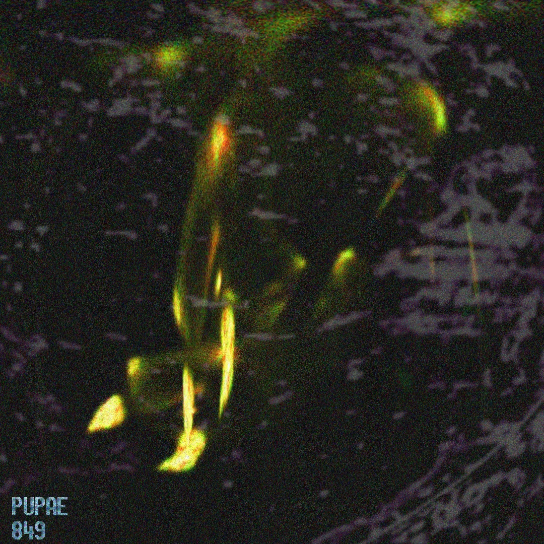 849 | CreatureCore Wiki | Fandom