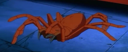 Spider | Mummies Alive Wiki | Fandom