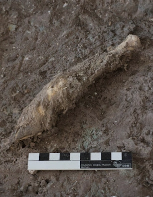 Chehrabad Sheep | Mummipedia Wiki | Fandom