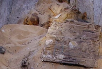 Woseribre Senebkay | Mummipedia Wiki | Fandom