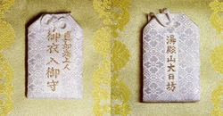 Daijuku Bosatsu Shinnyokai-Shonin | Mummipedia Wiki | Fandom