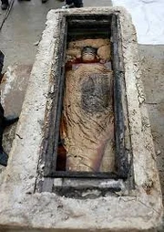 Wet Mummy | Mummipedia Wiki | Fandom