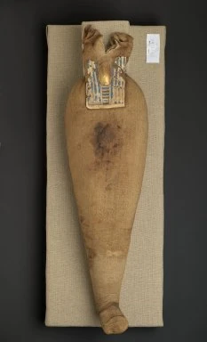 Ibis Mummy, 37.1986E | Mummipedia Wiki | Fandom