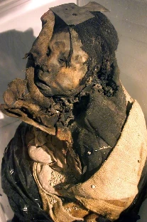 Lightning Girl | Mummipedia Wiki | Fandom