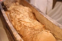 Pouyou | Mummipedia Wiki | Fandom