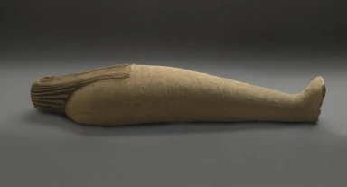 Ibis Mummy, 37.1985E | Mummipedia Wiki | Fandom