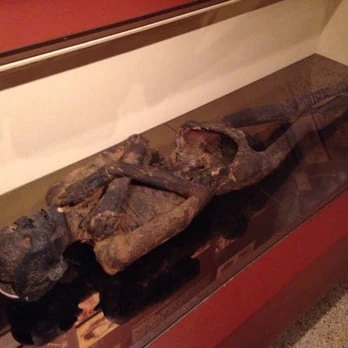 PUM II | Mummipedia Wiki | Fandom