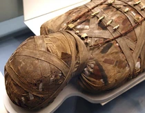 Hatason | Mummipedia Wiki | Fandom