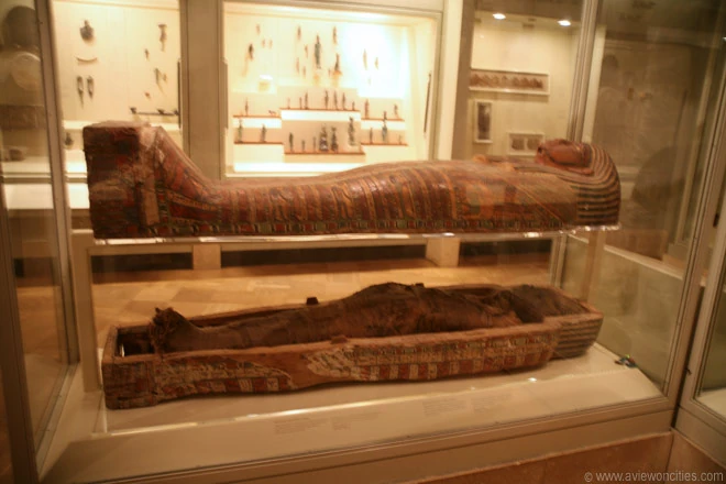 Djedmaatesankh | Mummipedia Wiki | Fandom