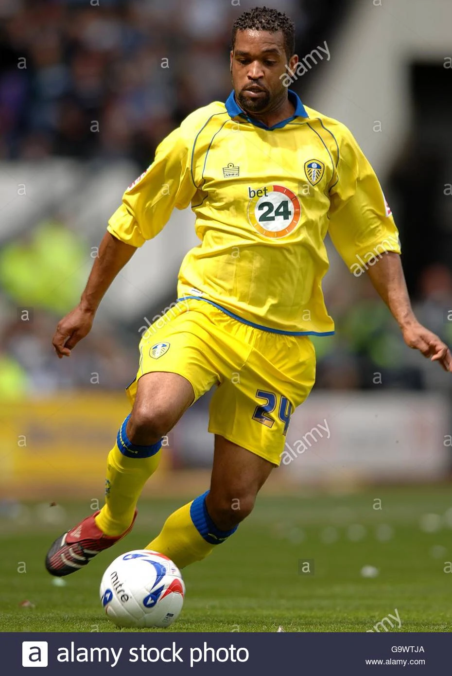 Rui Marques | Mundo FIFN Wiki | Fandom