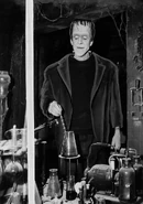 Herman Munster | The Munsters Wiki | Fandom