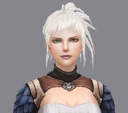 Grow Lancer | Mu Online Wiki | Fandom