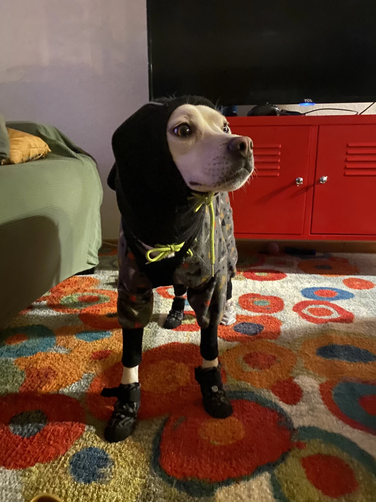 Moby | MuPedia Wiki | Fandom