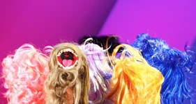 Hairpieces | Muppet Wiki | Fandom