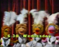 The Muppet Show promos | Muppet Wiki | Fandom
