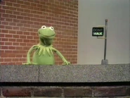 Kermit Lecture: Walk | Muppet Wiki | Fandom