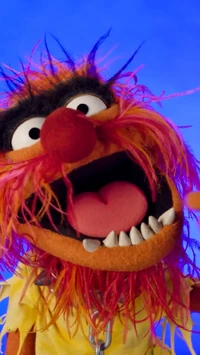 The Muppets: 70 Years | Muppet Wiki | Fandom