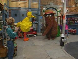 Episode 3541 | Muppet Wiki | Fandom