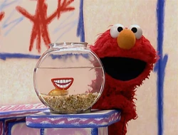 Elmo's World: Teeth | Muppet Wiki | Fandom