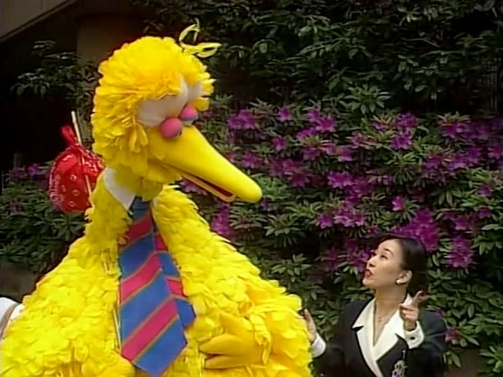 Big Bird in Japan | Muppet Wiki | Fandom